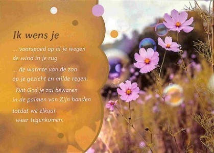 Ik wens je - kaart - 65503205
