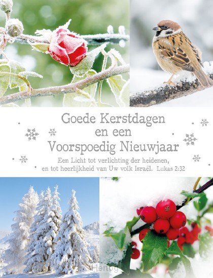 Doos Goede Kerstdagen en een Voorspoedig Nieuwjaar - met Bijbeltekst ...
